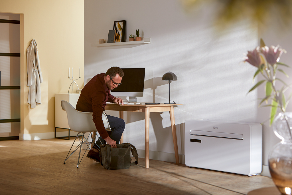 Remote control WDH 229 PTC